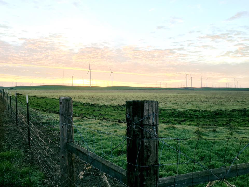 Our Story - Sky Hill Farms in Napa, CA
