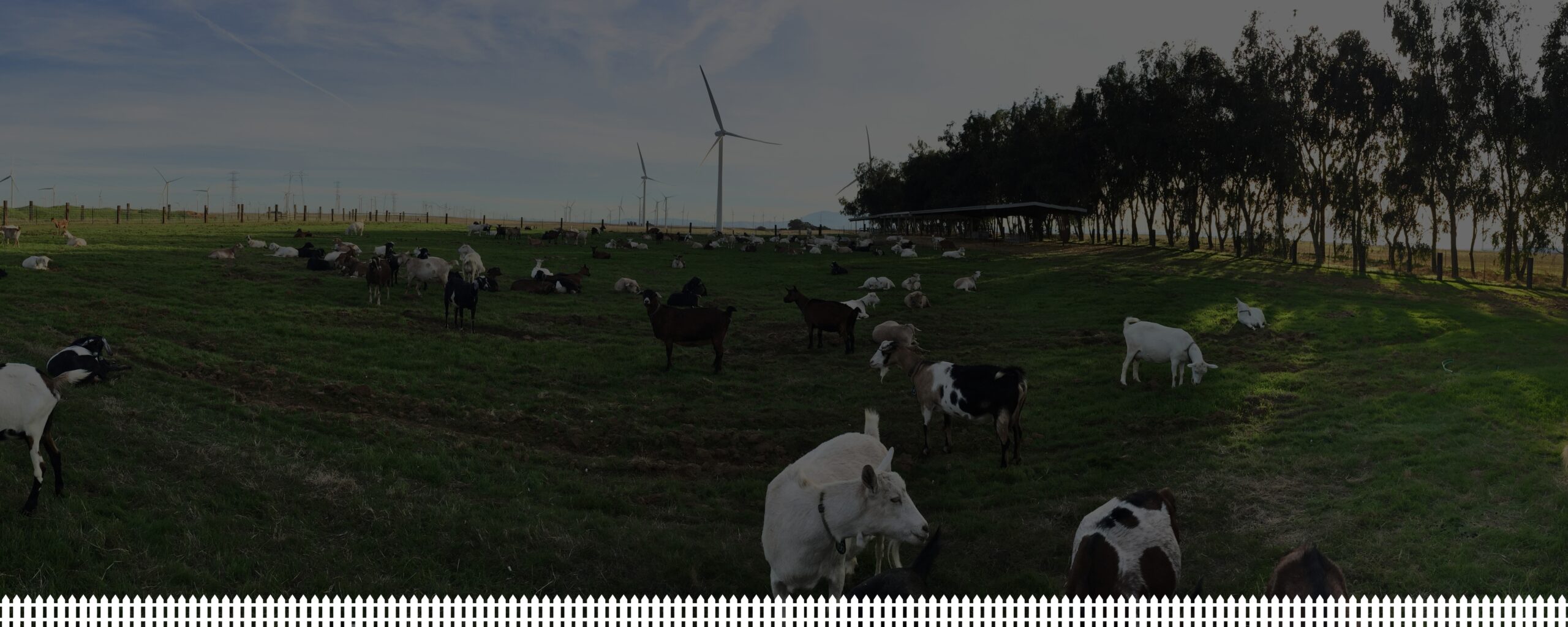 Our Story - Sky Hill Farms in Napa, CA